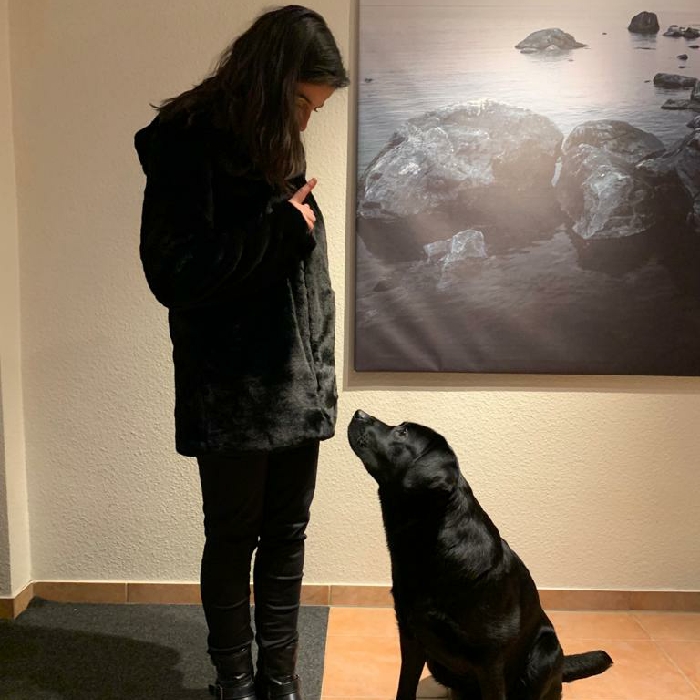 Rammeln von Decken und Kissen